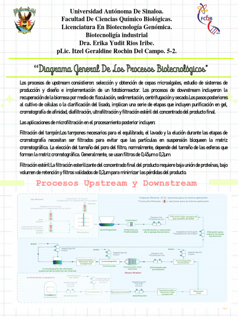 Diagrama Procesos Biotecnologicos | PDF