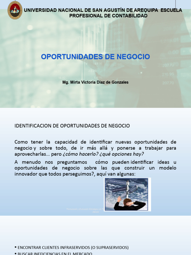 Oportunidades de Negocio | PDF | Iniciativa empresarial | Negocios económicos