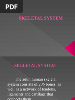 Skeletal System Exam Questions and Answers | PDF | Skeleton | Bone