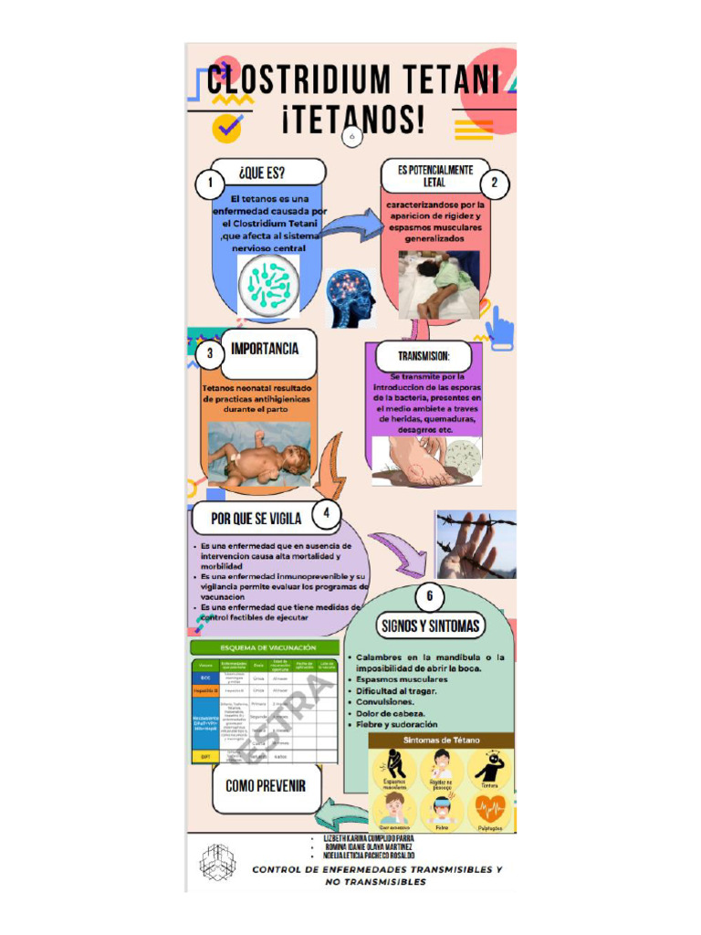 Tétanos (Infografía, historia y cadena) | PDF