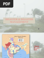 Disaster Management Poster | PDF