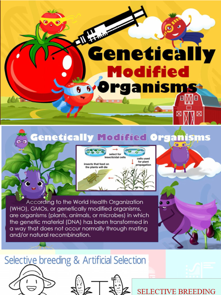 Unit 3 Gmo | PDF