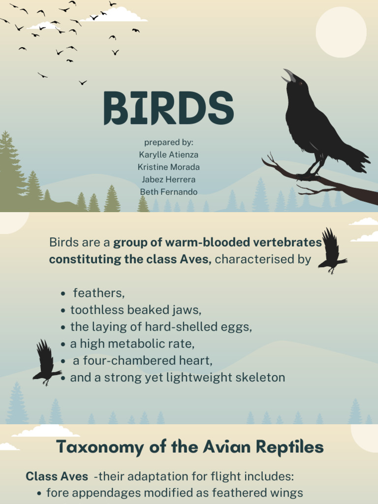 Group 13 Birds | PDF | Birds | Digestion