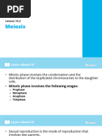 Video Recap of Meiosis by Amoeba Sisters Updated Pictures | PDF | Meiosis | Chromosome