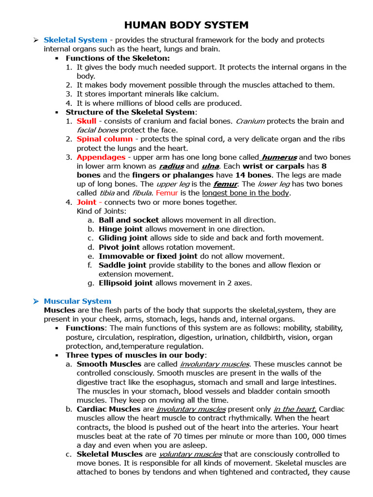 Science Human Body System | PDF | Atrium (Heart) | Blood