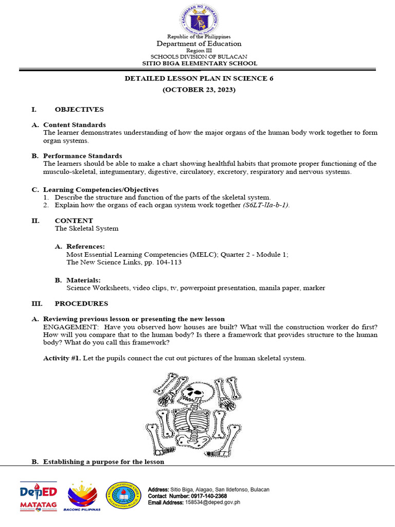 Dlp In Science Musculo Skeletal System Pdf Skeleton Bone