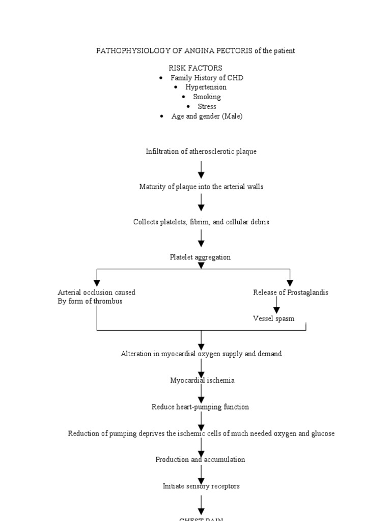 Pa Tho Physiology of Angina Pectoris | PDF | Angina Pectoris | Ischemia