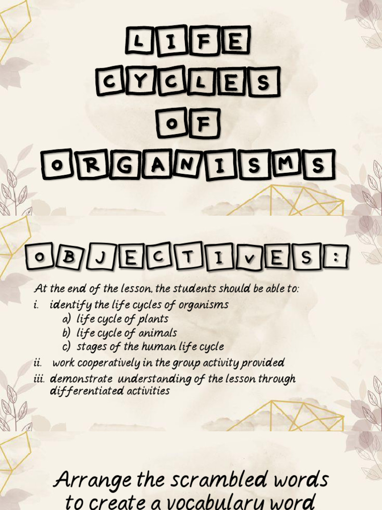 Life Cycles | PDF