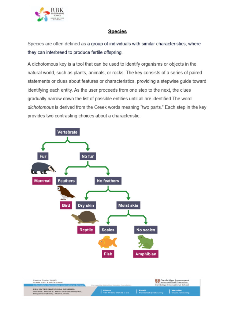 Science Notes Chapter 4 (Grade 6) | PDF