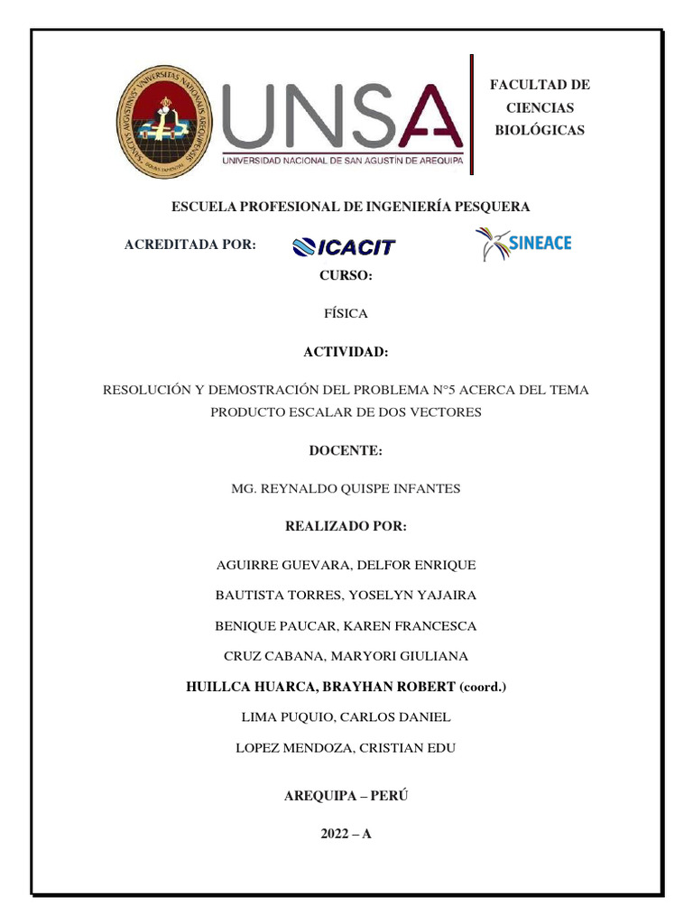 Resolución Problema N°5 - Física - Grupo 2 | PDF | Álgebra lineal | Álgebra
