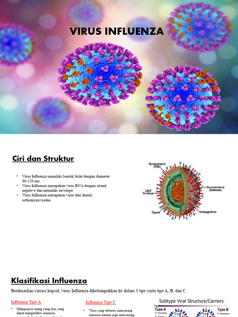 Influenza | PDF