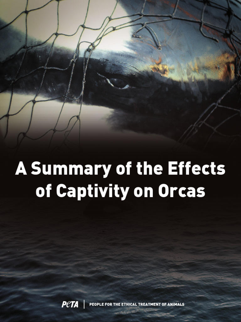 Seaworld Cruelty | PDF | Cetacea