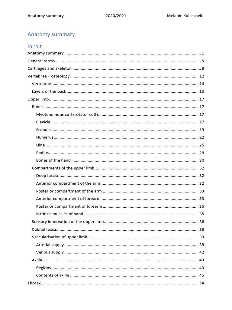 Anatomy Summary | PDF | Human Leg | Anatomical Terms Of Motion
