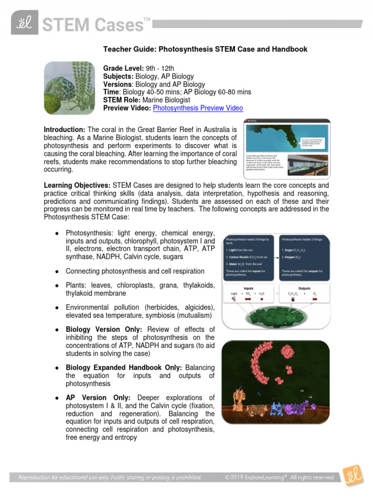 Photosynthesis Case Study for Marine Biology | PDF | Photosynthesis ...