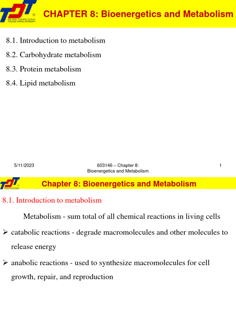 Chapter 8 - Bioenergetics and Metabolism | PDF | Metabolism | Cellular ...