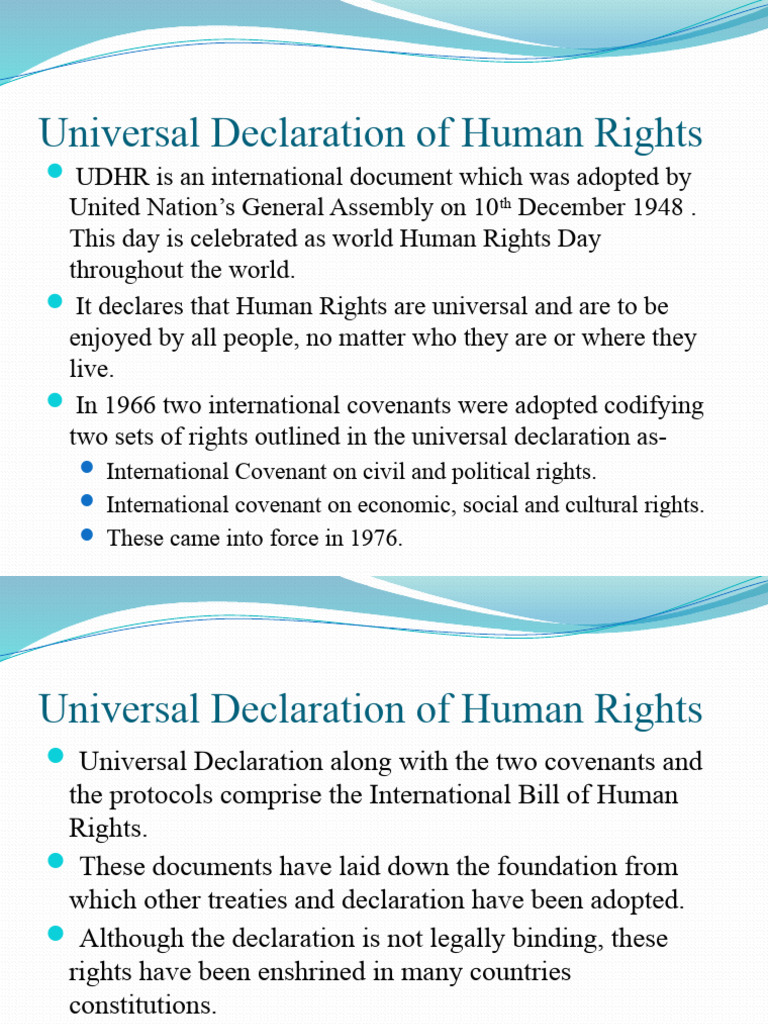UDHR | PDF | Human Rights | Government And Personhood
