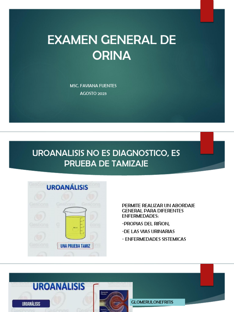 Ego Generalidades | PDF | Anatomía | Fisiologia Animal