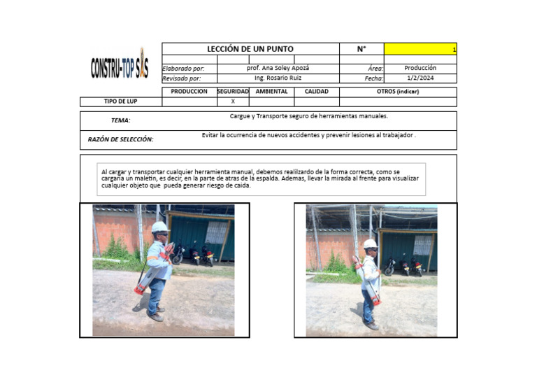 Modelo de LUPs | PDF