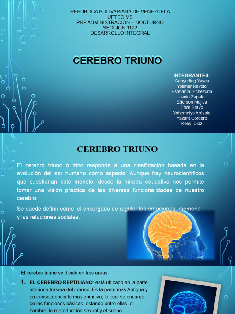 Instinto Primitivo y Cerebro Reptiliano | PDF | Cerebro | Ciencia cognitiva