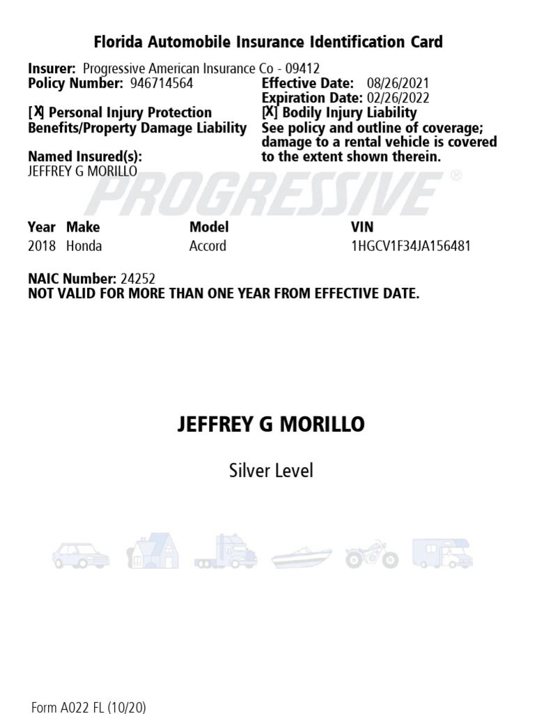 Florida Auto Insurance Card | PDF