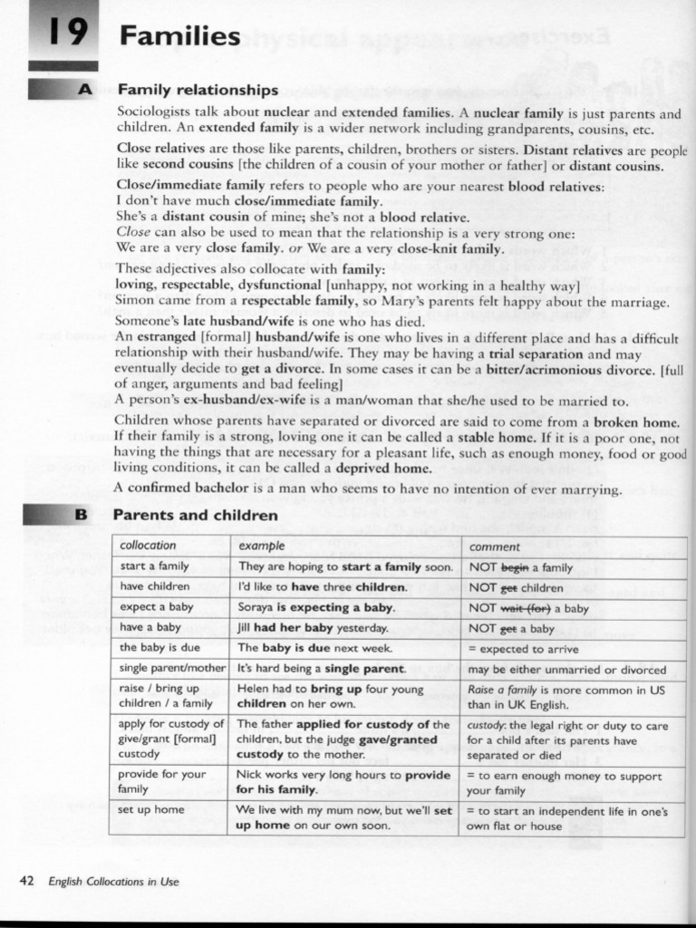 Family Collocation | PDF