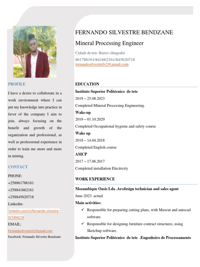 Fernando CV. UK | PDF | Mining | Laboratories