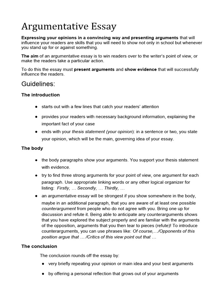 Argumentative Essay | PDF | Essays | Argument