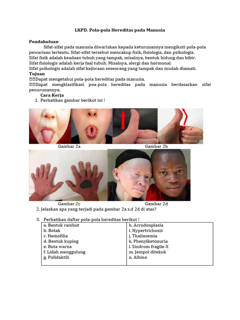 LKPD 1. Pola-Pola Hereditas | PDF