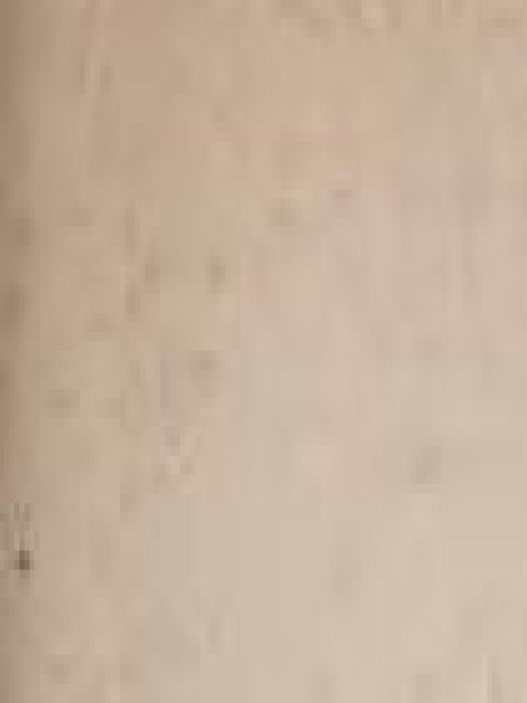 Full Page Photo | PDF