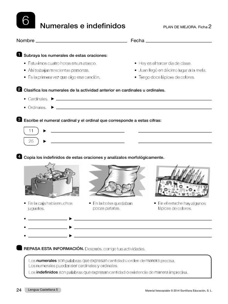 Ejercicios de Numerales e Indefinidos 5-6 Primaria | PDF
