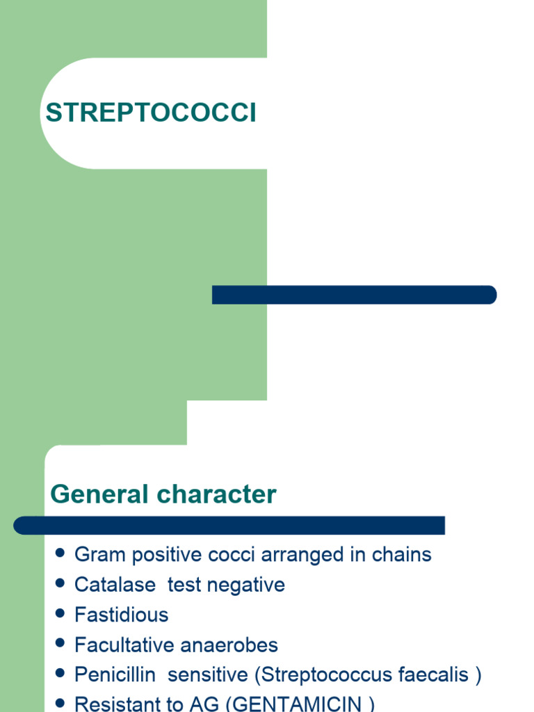 Streptococci | PDF | Infection | Health Sciences