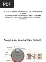 Astenopia o Fatiga Visual | PDF | Ojo humano | Oftalmología