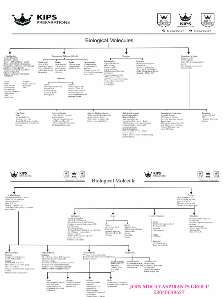 Biological Molecules Kips | PDF