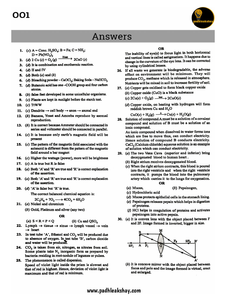 Sample Paper Solution Science | PDF