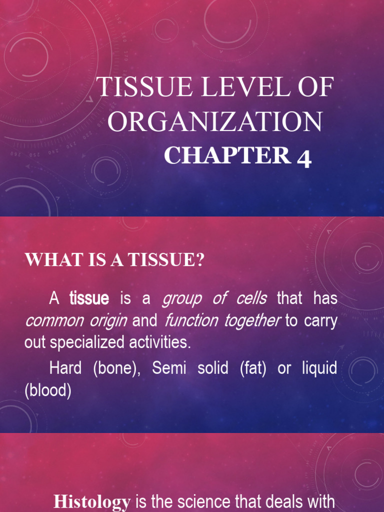 Tissue Level of Organization | PDF | Epithelium | Connective Tissue