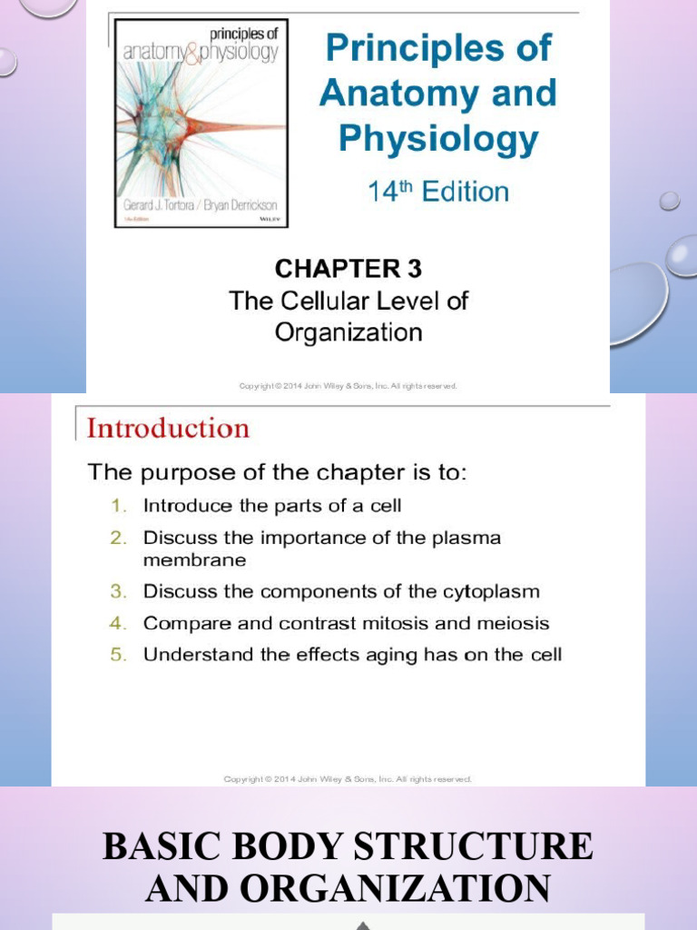 CELL | PDF | Endoplasmic Reticulum | Cell (Biology)
