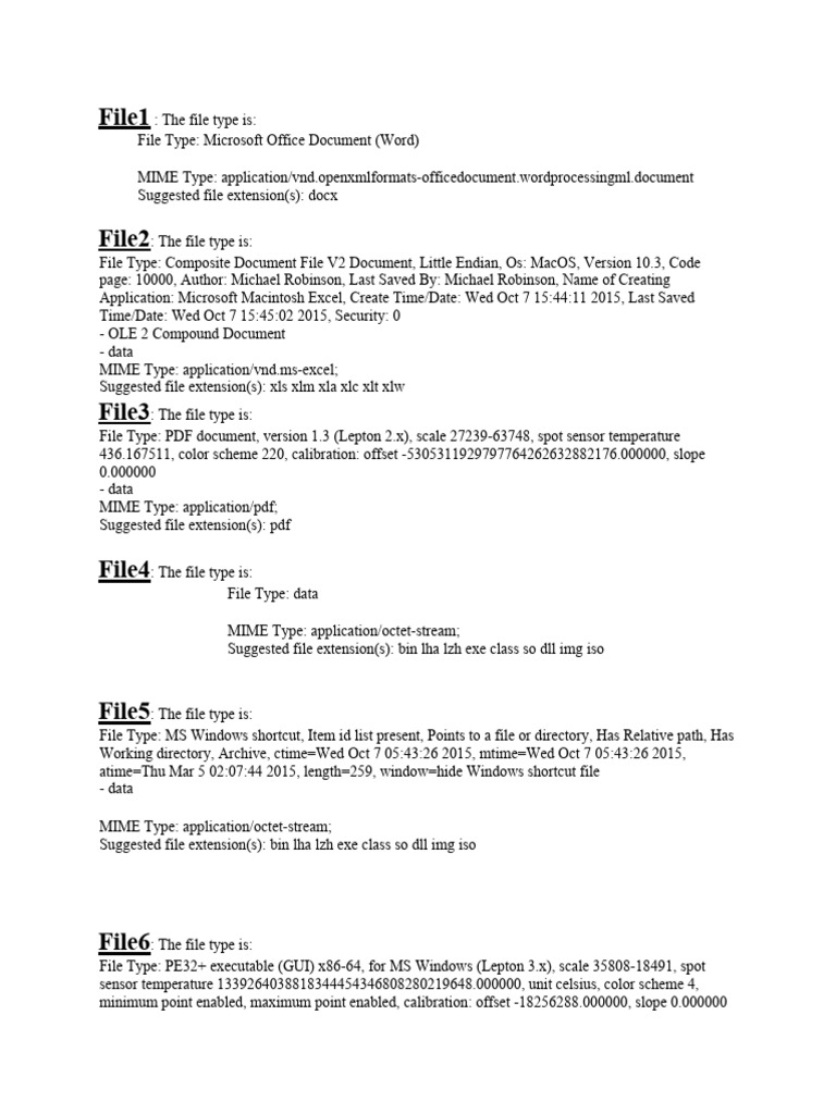 Mavuso Sicelo 202004901 | PDF | File Format | Computer File