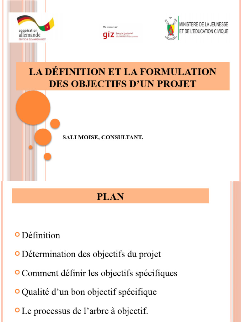 Objectifs d'un projet : définition et formulation | PDF | Consultant