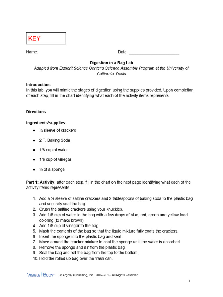 Digestion in a Bag Lab Activity | PDF | Gastrointestinal Tract | Digestion