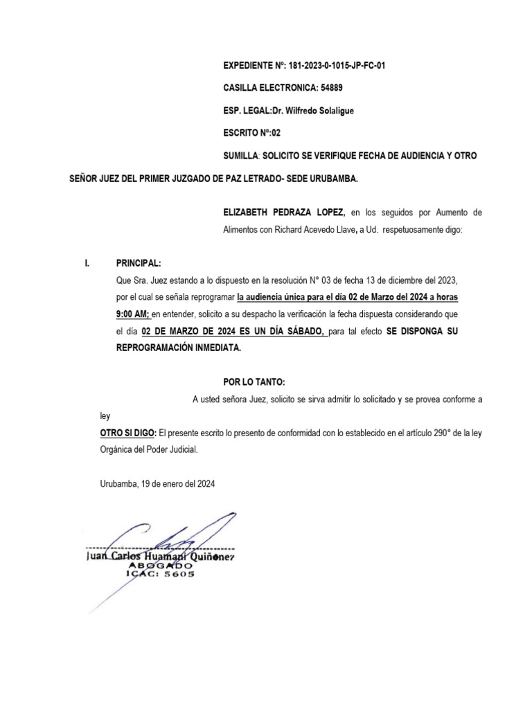 Escrito Elizabeth Pedraza | PDF