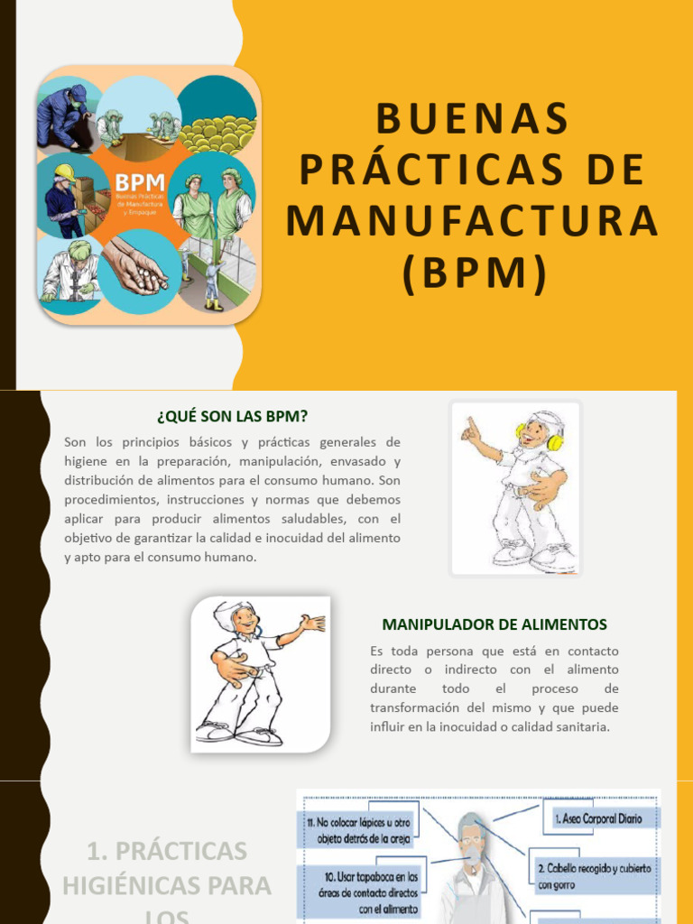Buenas Prácticas de Manufactura (BPM) | PDF | Alimentos | Productos cosméticos