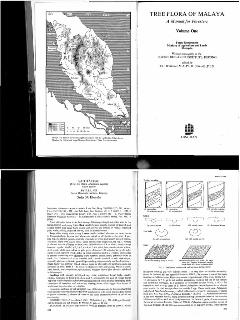 NG 1972 Tree Flora Malaya Sapotaceae | PDF | Leaf | Wood