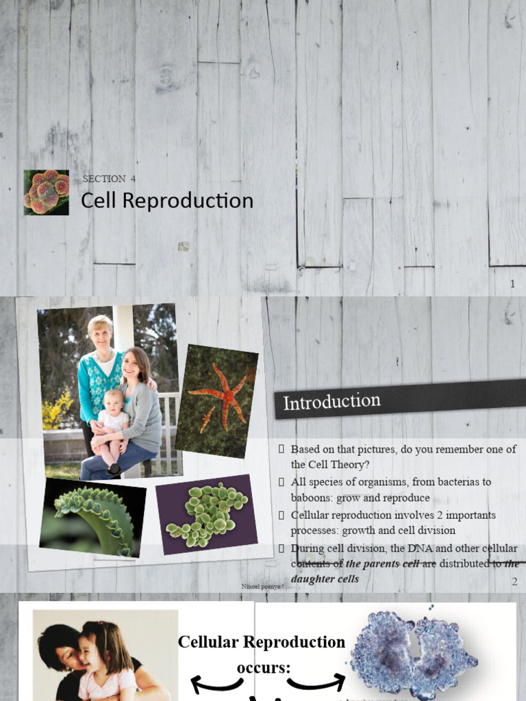 Unit 4 - PPT BIOUM - Bu Ninul - Cell Reproduction | PDF | Meiosis | Mitosis
