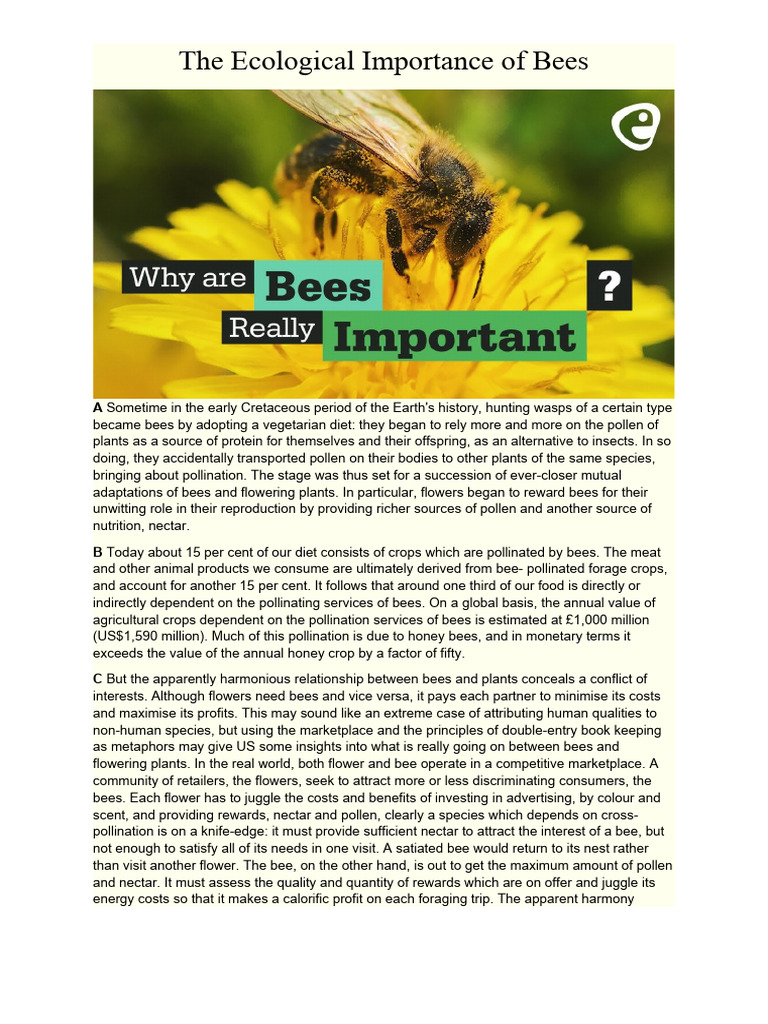 The Ecological Importance of Bees | PDF | Educational Technology | Pollination