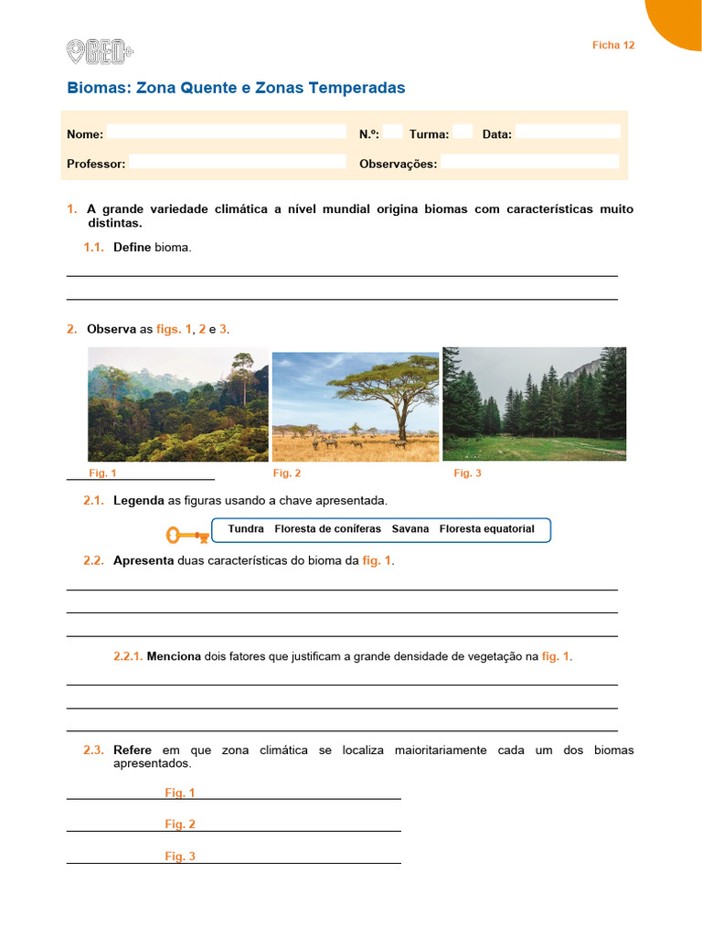 RECURSOS - 4 - 4 - Ficha Formativa - 12 | PDF