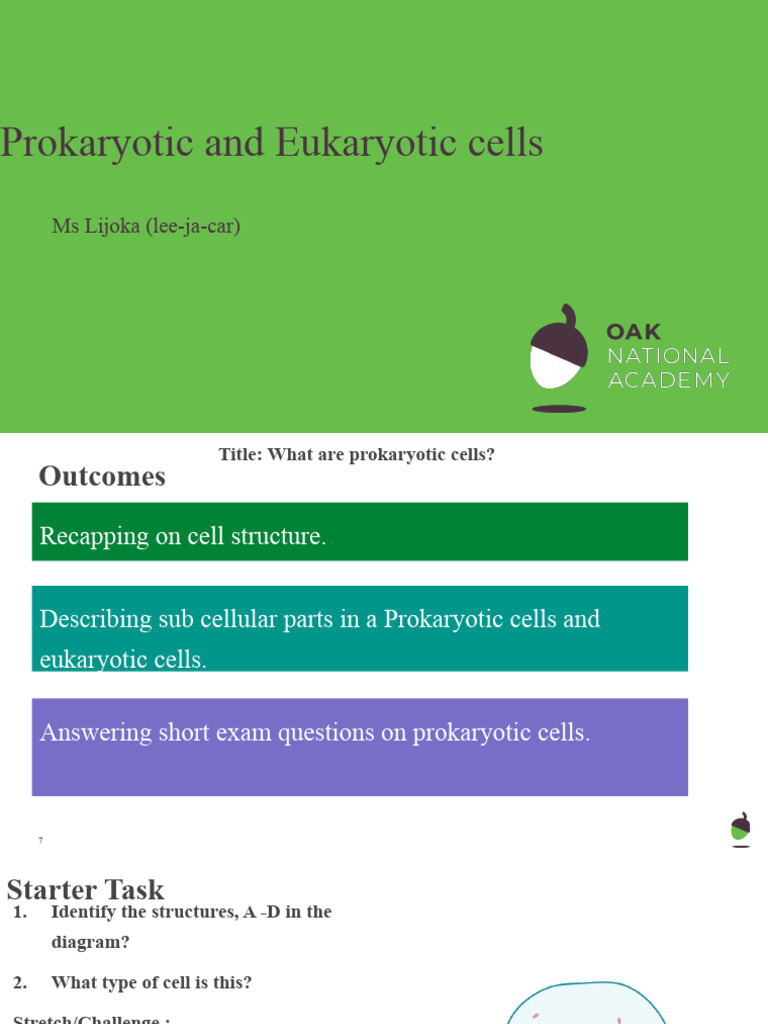 Prokaryotic and Eukaryotic Cells - Presentation | PDF | Cell (Biology ...