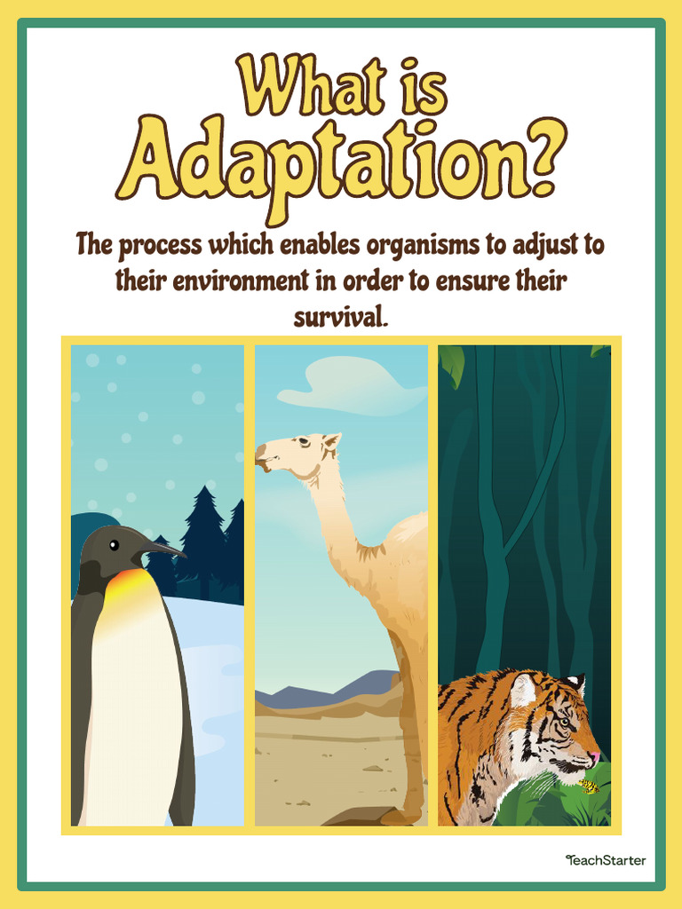 Behavioural Structuraland Physiological Adaptations Classroom Poster ...