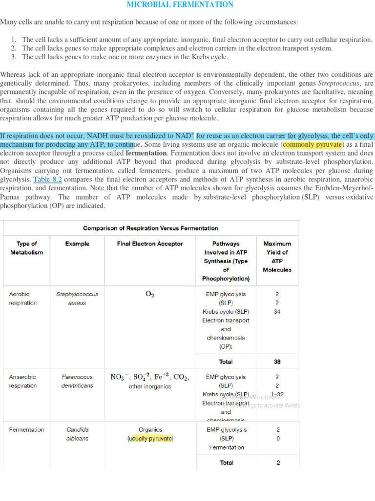 Microbial Fermentation Processes Explained | PDF | Cellular Respiration ...