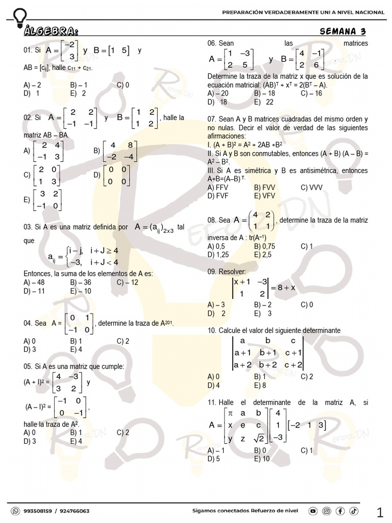 ÁLGEBRA | PDF | Matriz (Matemáticas) | Funciones y mapeos