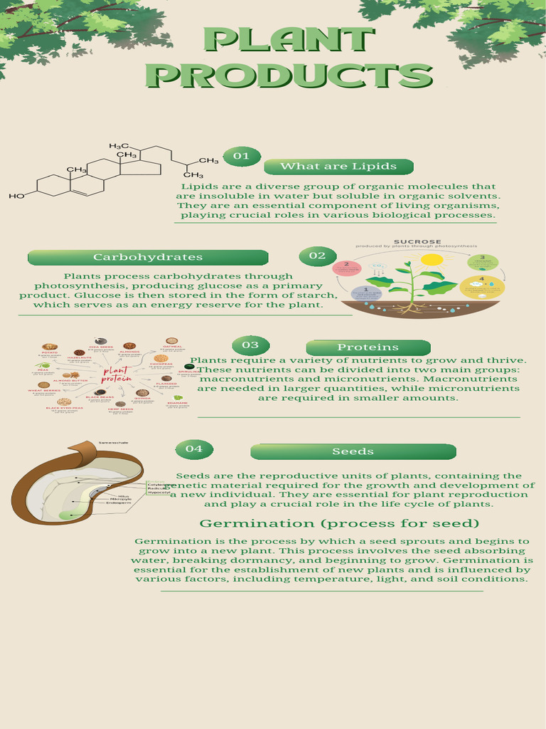 Green Illustrative Watercolor Plant Care Tips Infographic | PDF
